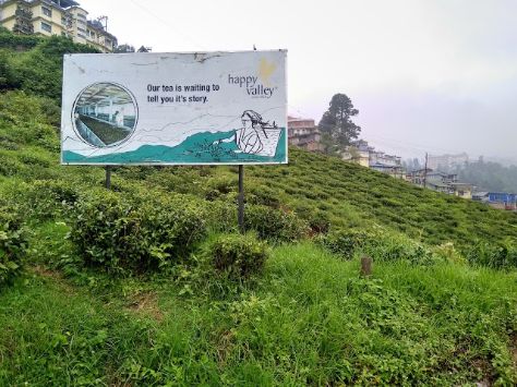 Happy Valley Tea Estate | Darjeeling - What to Expect | Timings | Tips ...