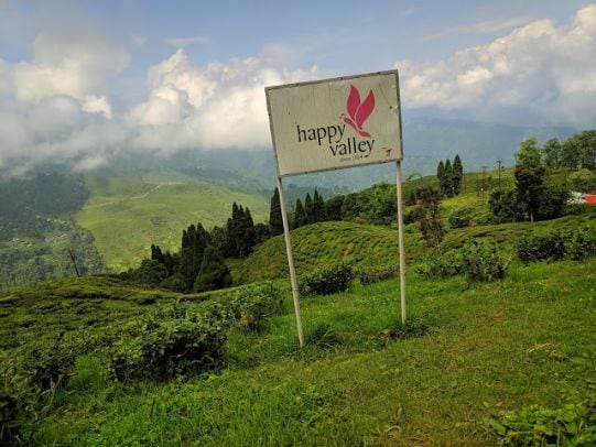 Happy Valley Tea Estate | Darjeeling - What to Expect | Timings | Tips ...