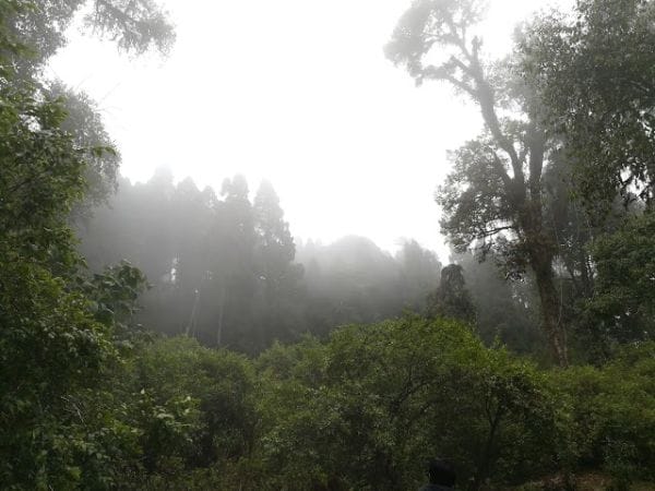 Jhandi Dara Sunrise Point | Darjeeling - What to Expect | Timings ...