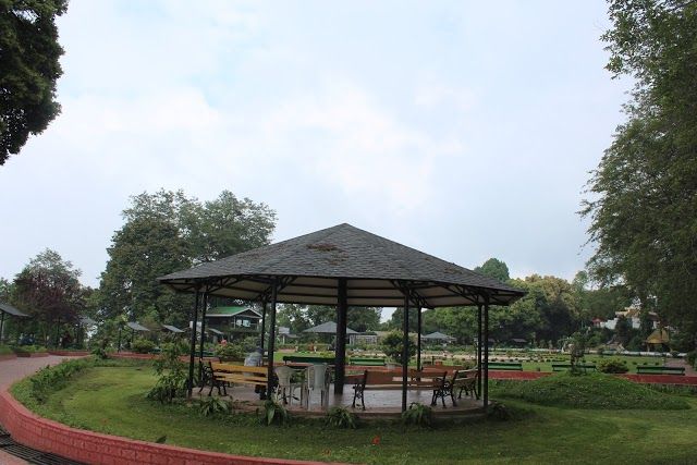 Picnicking at Shrubbery Nightingale Park | Darjeeling - What to Expect ...