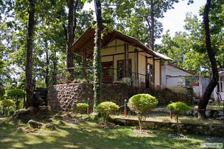 Malsi Deer Park | Dehradun - What to Expect | Timings | Tips - Trip ...