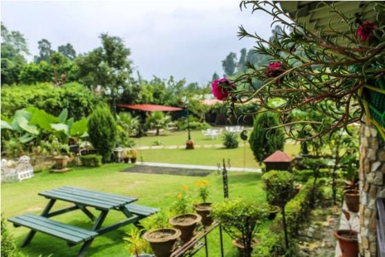 Riverstone Cottage | Dehradun - What to Expect | Timings | Tips - Trip ...