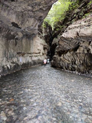 Robbers Cave | Dehradun - What to Expect | Timings | Tips - Trip Ideas ...