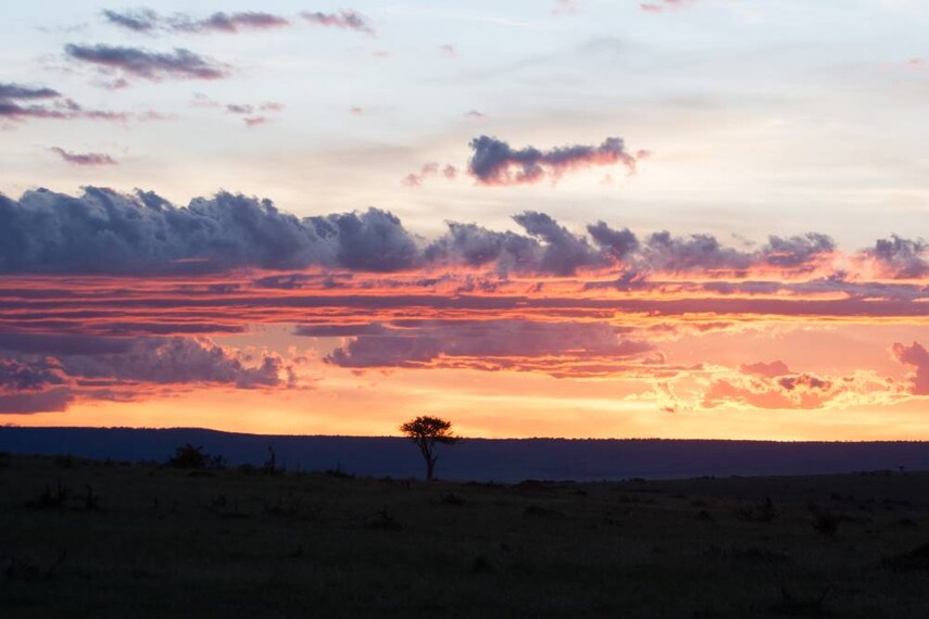 Olare Orok Conservancy | Maasai Mara - What to Expect | Timings | Tips ...