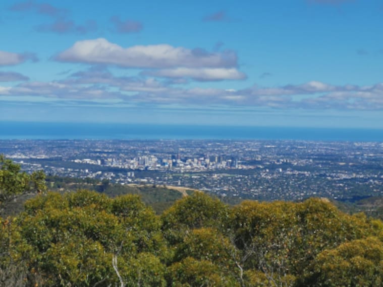 Cleland National Park | Adelaide - What to Expect | Timings | Tips ...