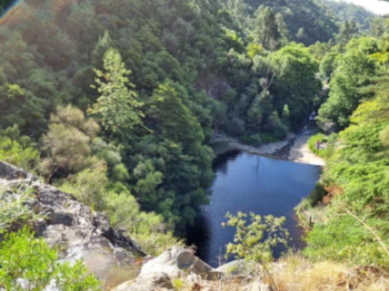 Cleland National Park | Adelaide - What to Expect | Timings | Tips ...