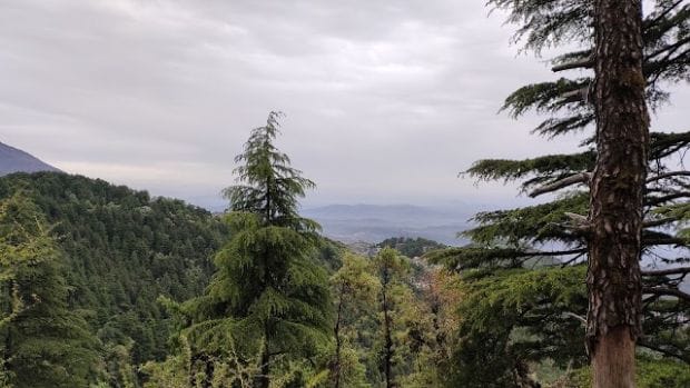 Hanuman Ka Tibba | Dharamshala & Mcleodganj - What to Expect | Timings ...