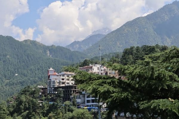 Namgyal Monastery | Dharamshala & Mcleodganj - What to Expect | Timings ...