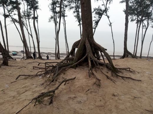 New Digha Beach, Digha - Things to Do, Timings & Photos
