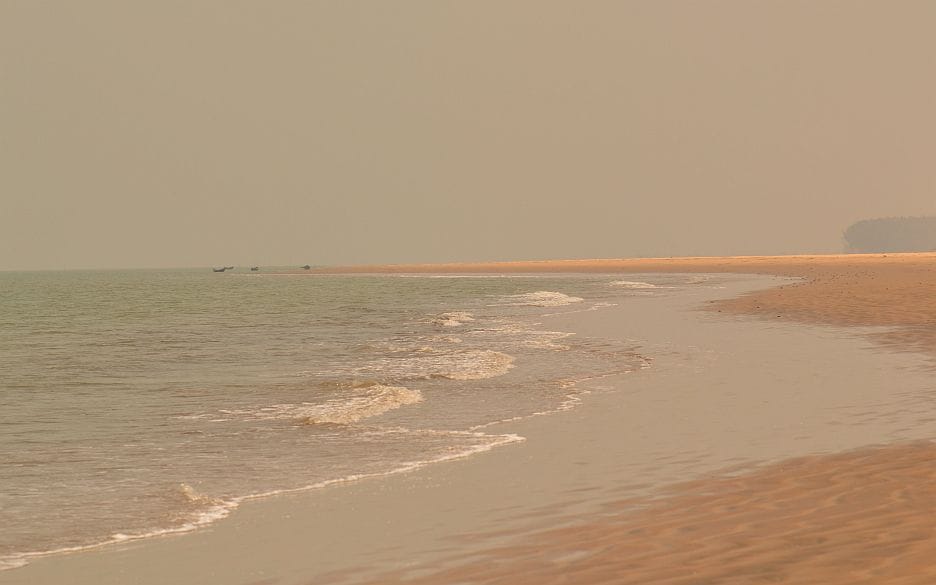 Talsari Beach, Digha - Things to Do, Timings & Photos