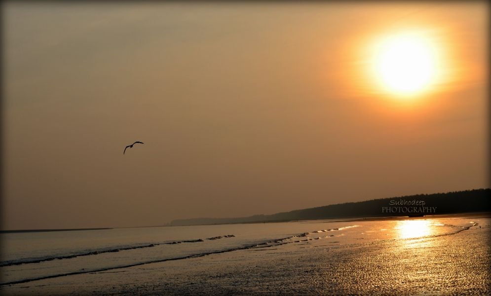 Talsari Beach, Digha - Things to Do, Timings & Photos