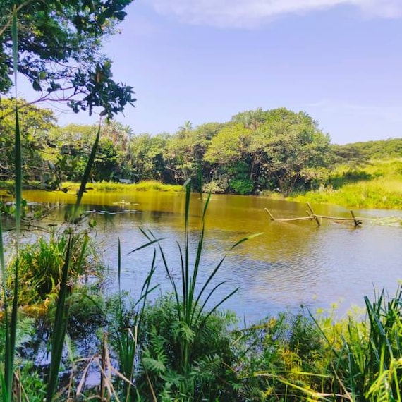 Kenneth Stainbank Nature Reserve | Durban - What to Expect | Timings ...