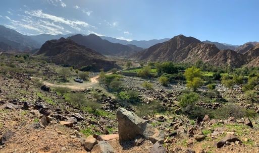 Al Hayl Castle | Fujairah - What to Expect | Timings | Tips - Trip ...