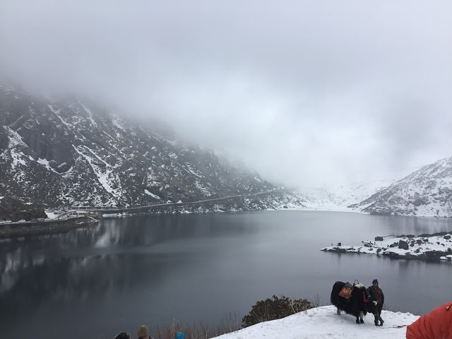 Nathu La Pass | Gangtok - What to Expect | Timings | Tips - Trip Ideas ...
