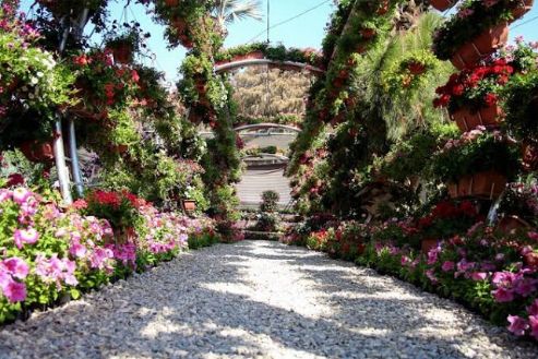 Orman Garden | Giza - What to Expect | Timings | Tips - Trip Ideas by ...