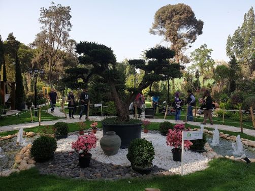 Orman Garden | Giza - What to Expect | Timings | Tips - Trip Ideas by ...