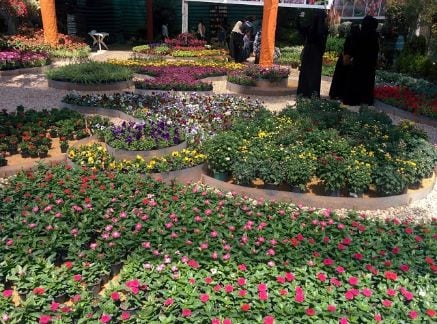 Orman Garden | Giza - What to Expect | Timings | Tips - Trip Ideas by ...