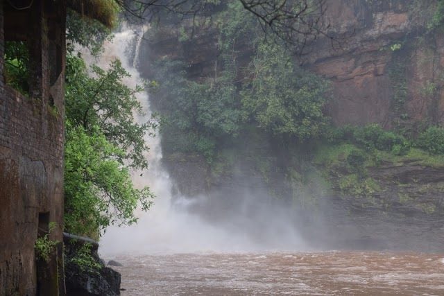 Arvalem Caves | Goa - What to Expect | Timings | Tips - Trip Ideas by ...