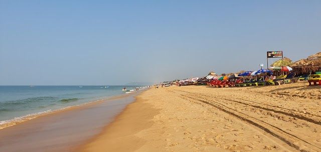 Candolim Beach, Goa - Things to Do, Timings & Photos
