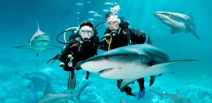 Scuba diving at Netrani Island | Goa - What to Expect | Timings | Tips ...