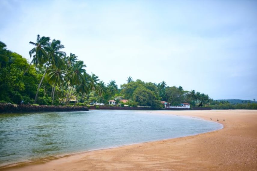 Calangute Beach, Goa - Things to Do, Timings & Photos