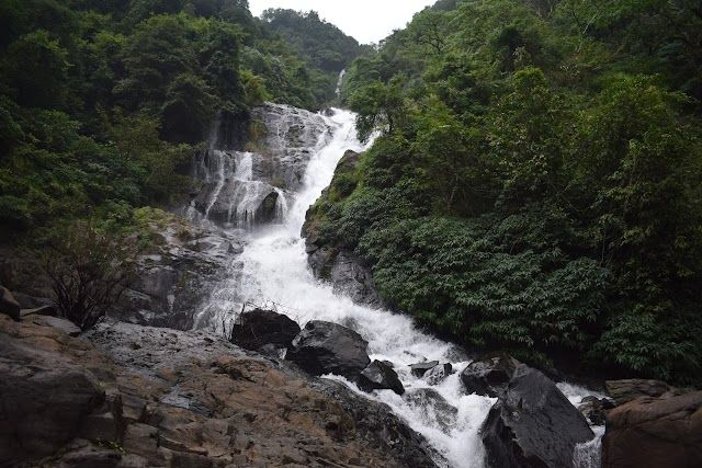 Tambdi Surla Waterfalls | Goa - What to Expect | Timings | Tips - Trip ...