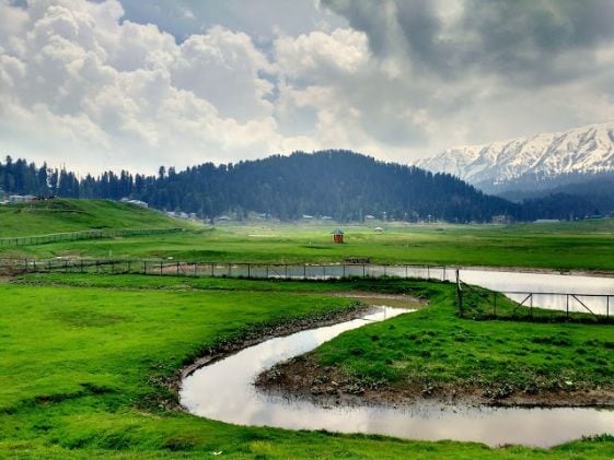 Gulmarg Biosphere Reserve | Gulmarg - What to Expect | Timings | Tips ...