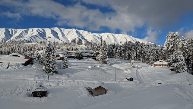 Gulmarg Biosphere Reserve | Gulmarg - What to Expect | Timings | Tips ...