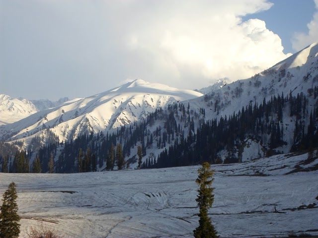 Gulmarg Golf Course | Gulmarg - What to Expect | Timings | Tips - Trip ...