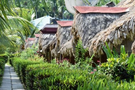 Blue Bird Resort | Havelock Island - What to Expect | Timings | Tips ...