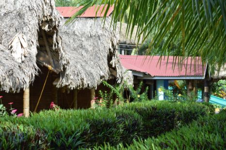 Blue Bird Resort | Havelock Island - What to Expect | Timings | Tips ...