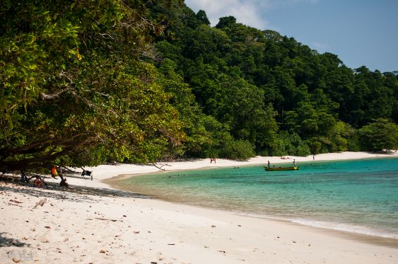 Neil's Cove | Havelock Island - What to Expect | Timings | Tips - Trip ...