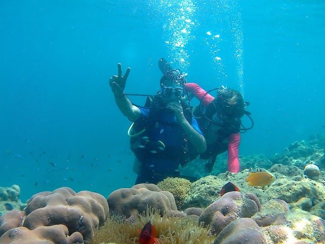 Sea Walking | Havelock Island - What to Expect | Timings | Tips - Trip ...