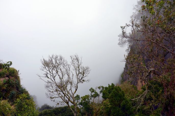 Devils Kitchen | Kodaikanal - What to Expect | Timings | Tips - Trip ...