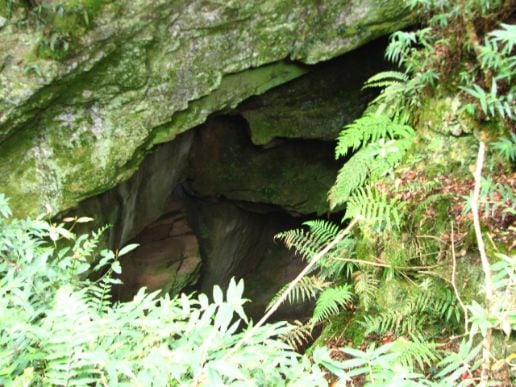 Devils Kitchen | Kodaikanal - What to Expect | Timings | Tips - Trip ...