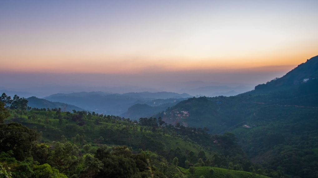 Pothamedu View Point | Munnar - What to Expect | Timings | Tips - Trip ...