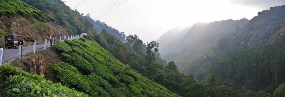 Pothamedu View Point | Munnar - What to Expect | Timings | Tips - Trip ...