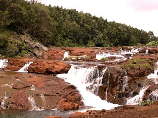 Pykara Waterfalls | Ooty - What to Expect | Timings | Tips - Trip Ideas ...