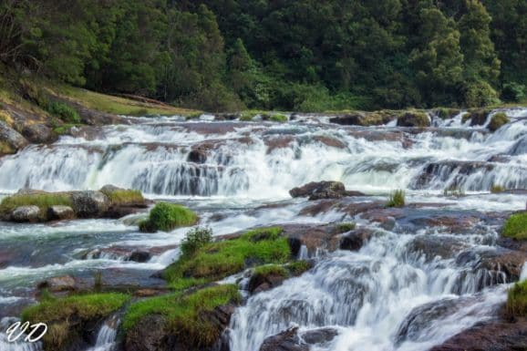 Pykara Waterfalls | Ooty - What to Expect | Timings | Tips - Trip Ideas ...
