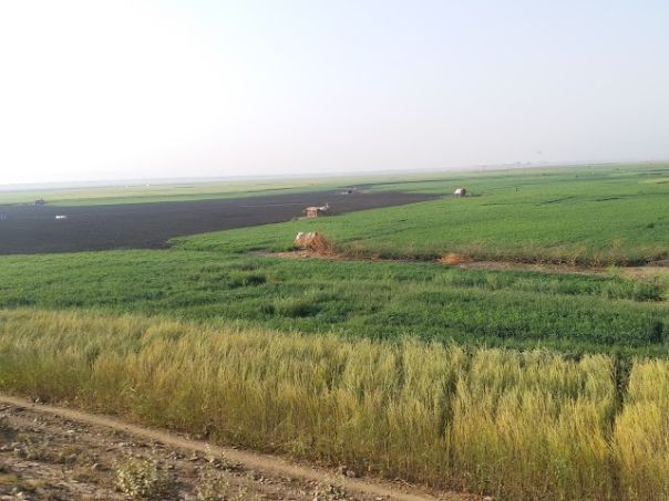 Surwal Lake | Ranthambore - What to Expect | Timings | Tips - Trip ...