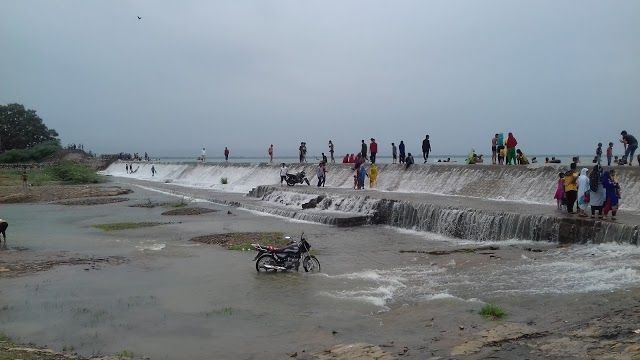 Surwal Lake | Ranthambore - What to Expect | Timings | Tips - Trip ...