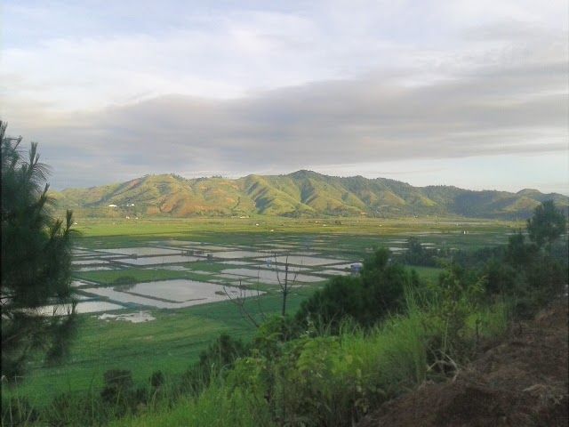 Navigate Bamboo Forests at Thoubal | Imphal - What to Expect | Timings ...