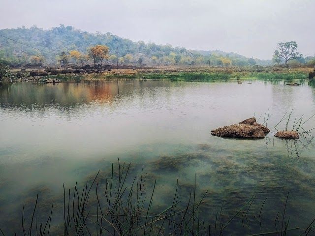 Get Close to Nature at Sangram Sagar Lake | Jabalpur - What to Expect ...