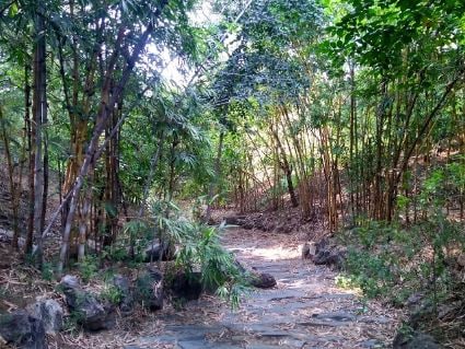 Smriti Van | Jaipur - What to Expect | Timings | Tips - Trip Ideas by ...