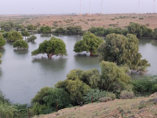 Bada Bagh | Jaisalmer - What to Expect | Timings | Tips - Trip Ideas by ...