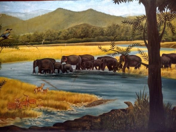 Corbett Museum, Corbett - Ticket Price, Timings, Photos