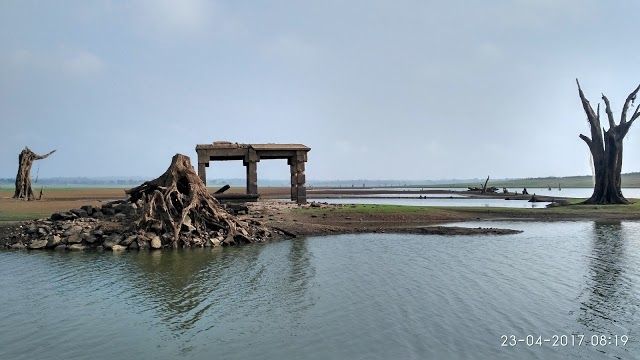 Kabini Dam | Kabini - What to Expect | Timings | Tips - Trip Ideas by ...