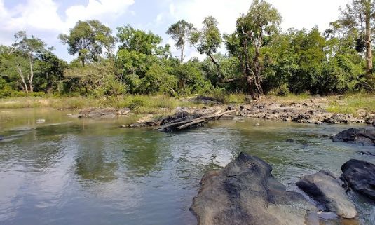 Kabini River | Kabini - What to Expect | Timings | Tips - Trip Ideas by ...