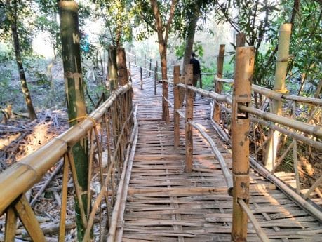 Nature Walks | Kabini - What to Expect | Timings | Tips - Trip Ideas by ...