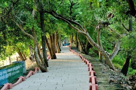 Vedanthangal Bird Sanctuary | Kanchipuram - What to Expect | Timings ...